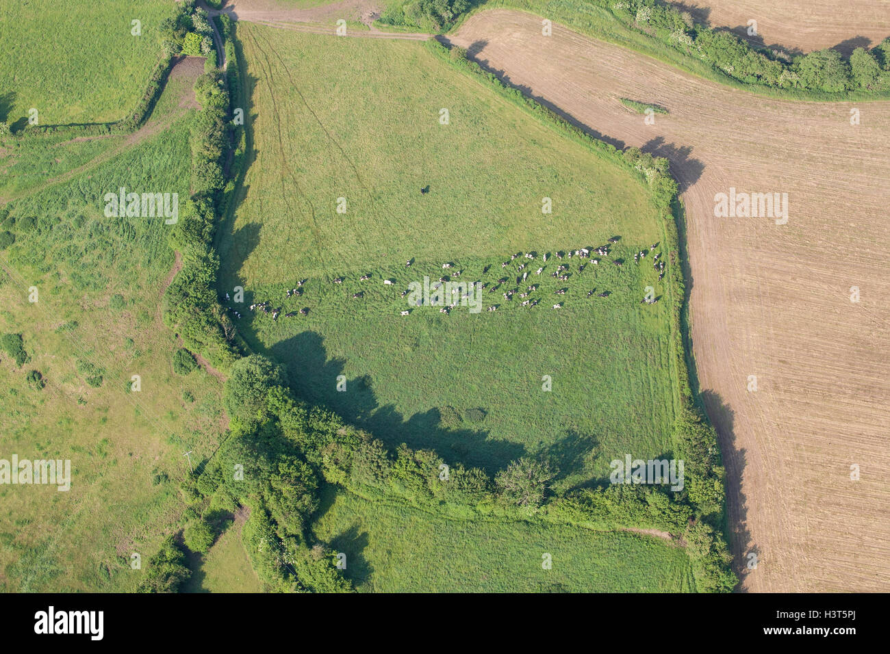 Farmland rural agricultural rural aerial view from a floating above hot ...
