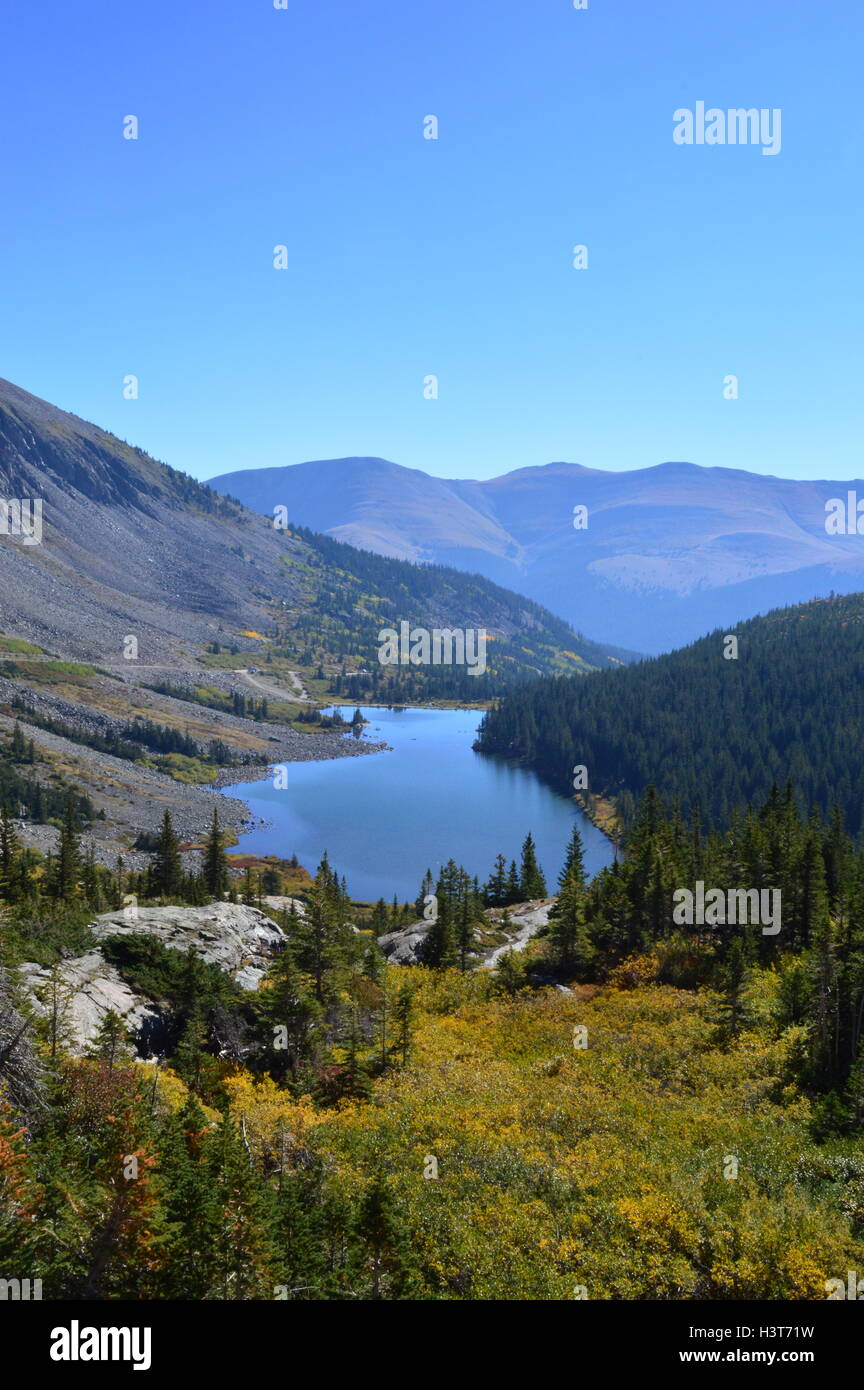 Forest of the lakes hi-res stock photography and images - Alamy