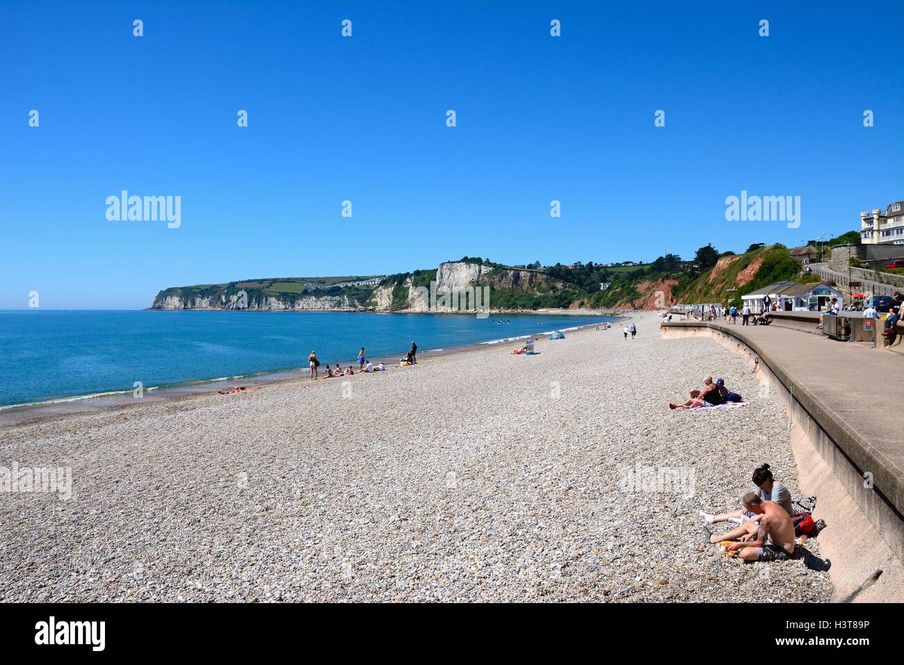 View of the pebble beach and coastline, Seaton, Devon, England, UK ...
