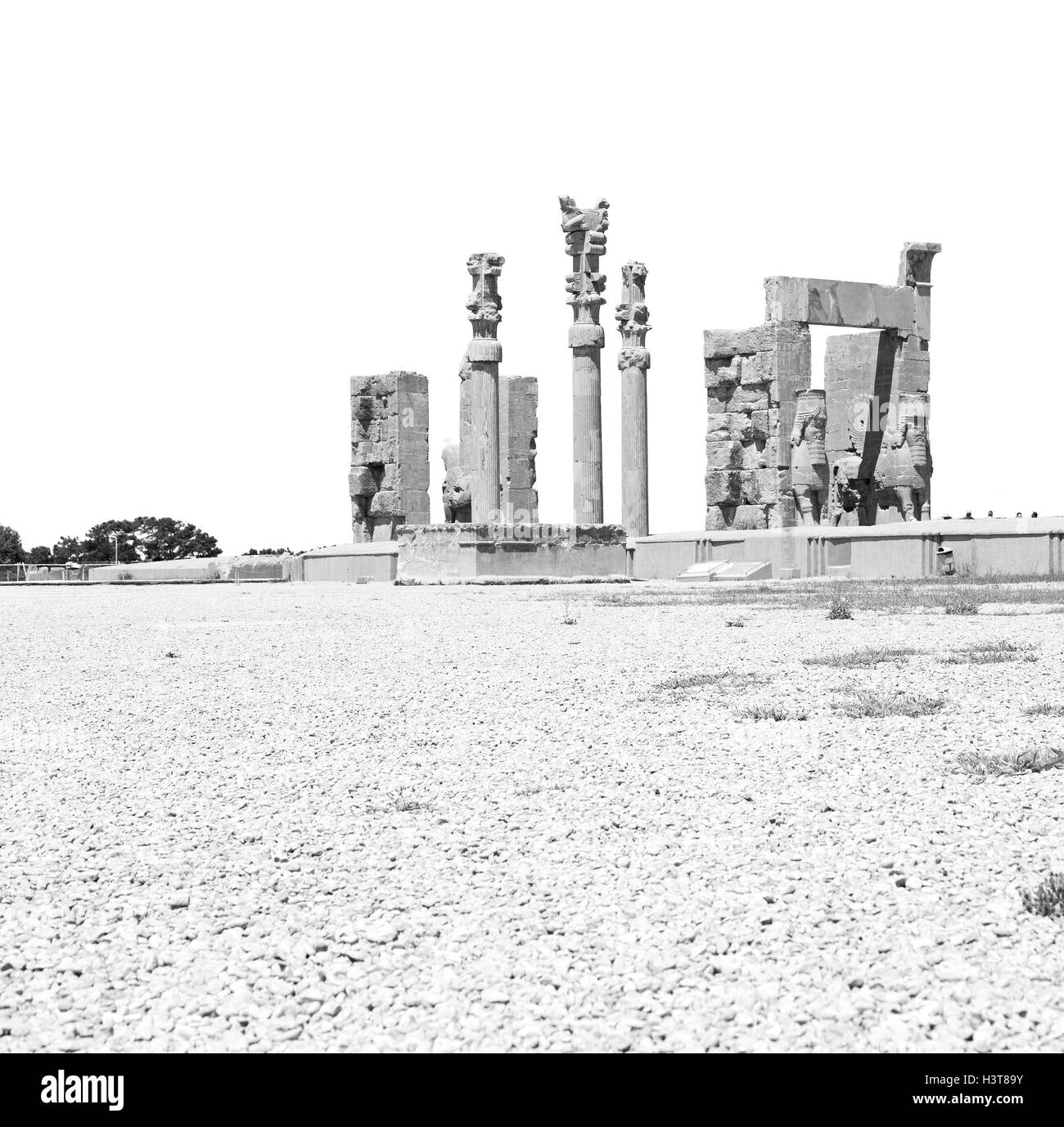 in iran persepolis the old ruins historical destination monuments and ...