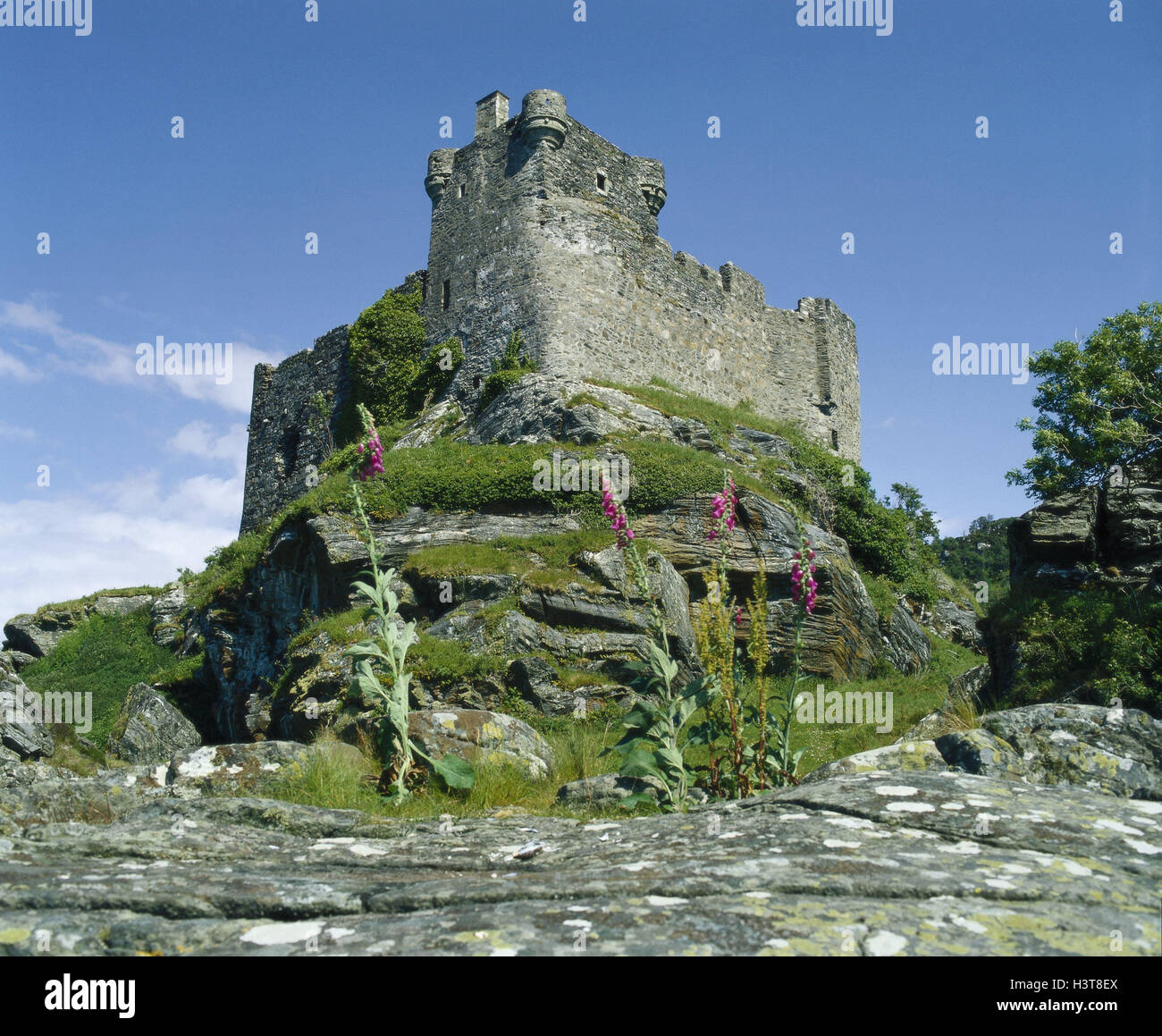 Scotland, Acharacle/Dorlin, ruin the castle Tioram Stock Photo - Alamy