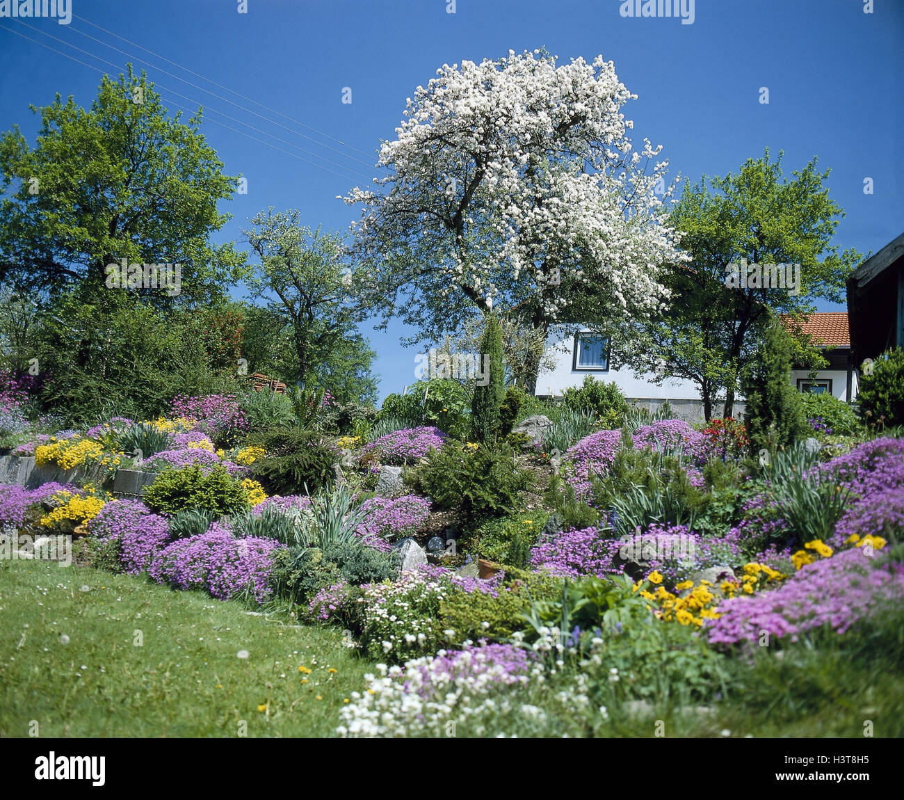 Garden, flowers, spring house, residential house, garden, flowerbed ...
