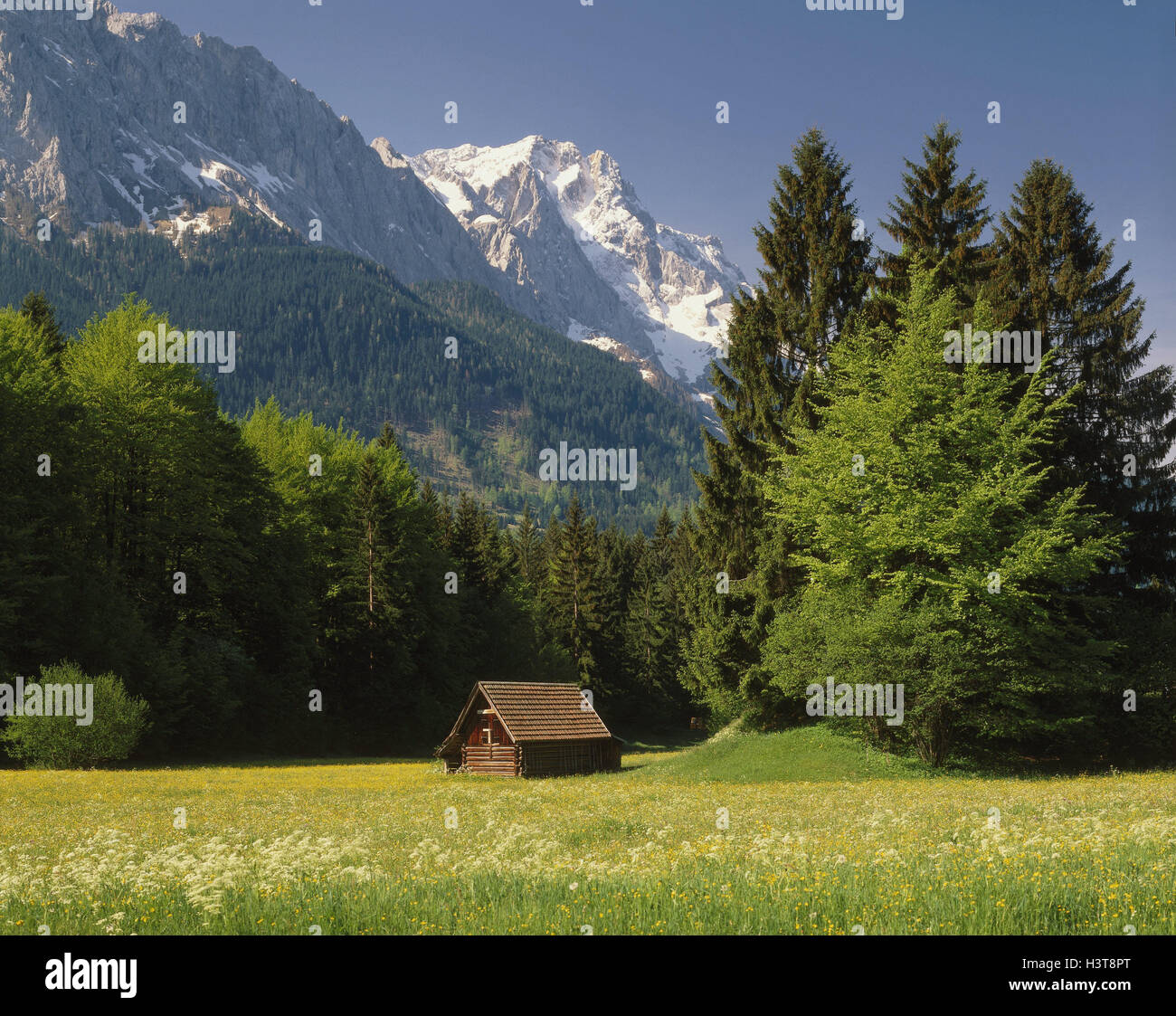 Germany, Upper Bavaria, Werdenfels, wooden hut, Zugspitze, spring ...