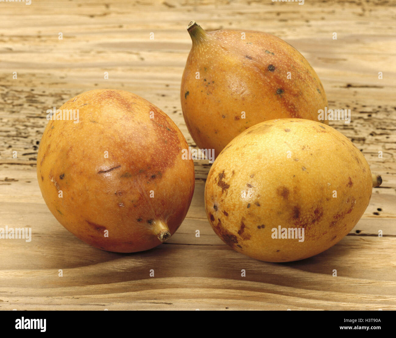 Passiflora spec hi-res stock photography and images - Alamy