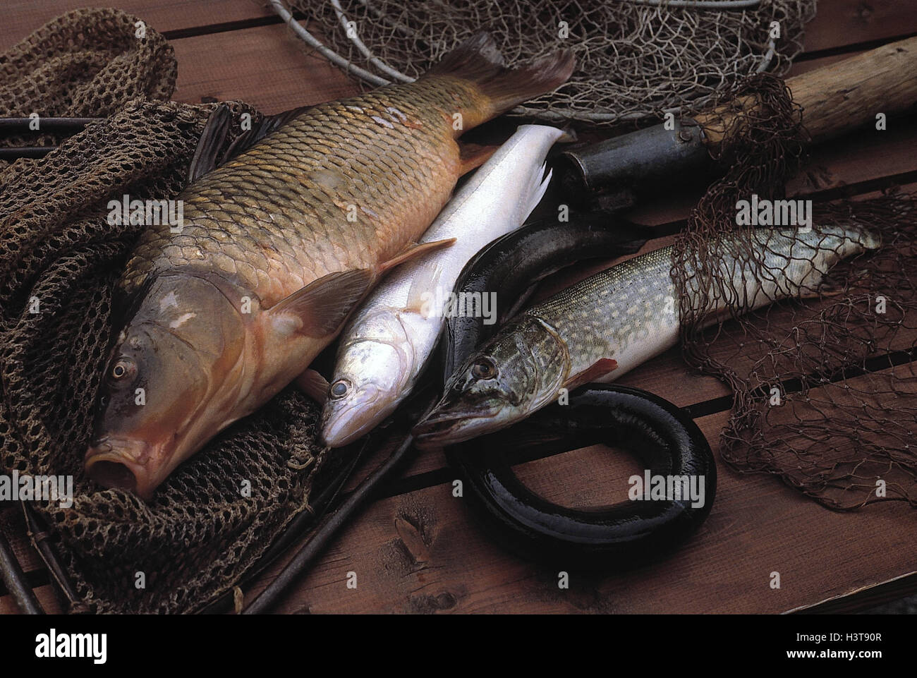 Catch of fish hi-res stock photography and images - Alamy