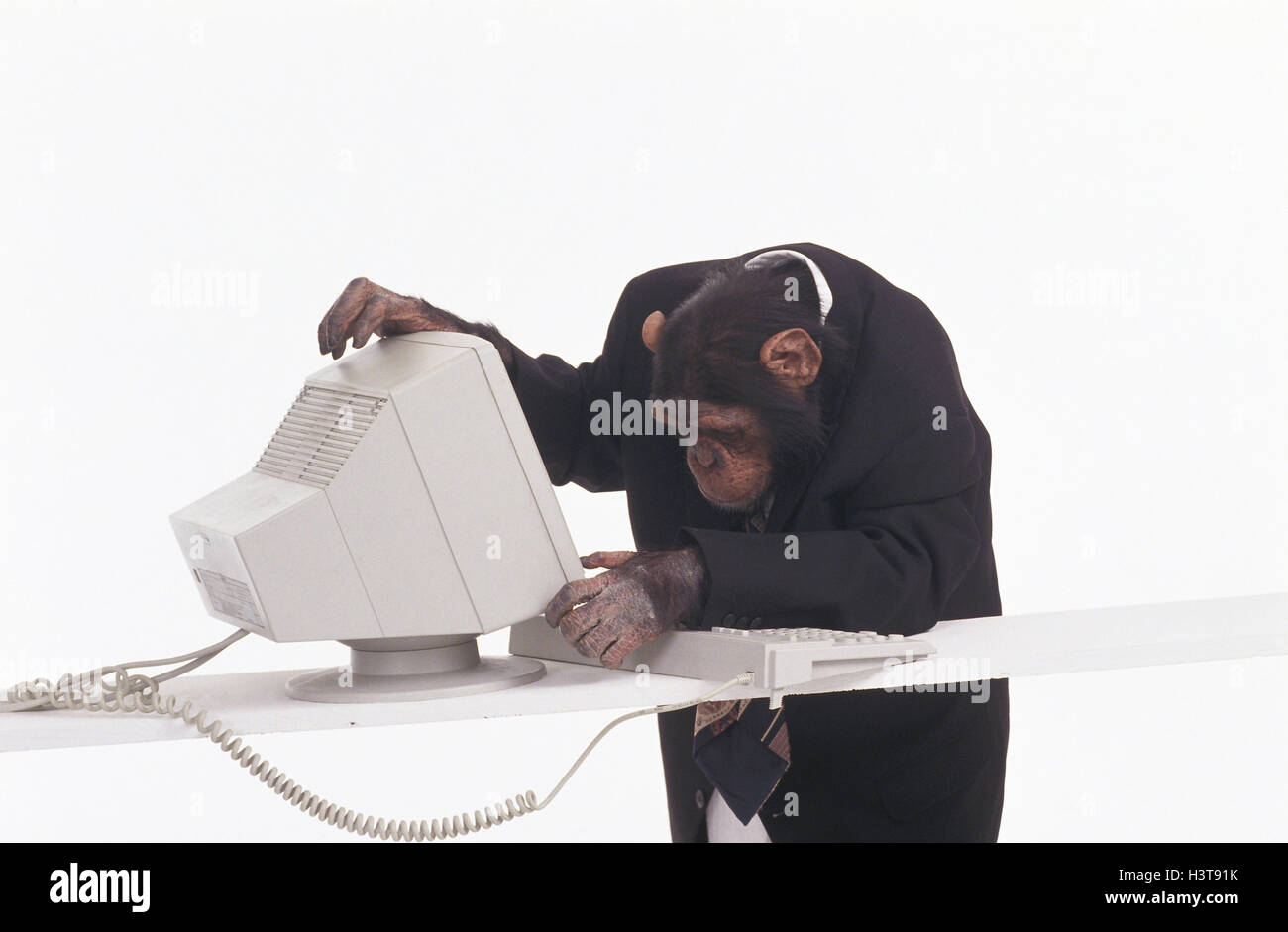 Computers mammals hi-res stock photography and images - Alamy