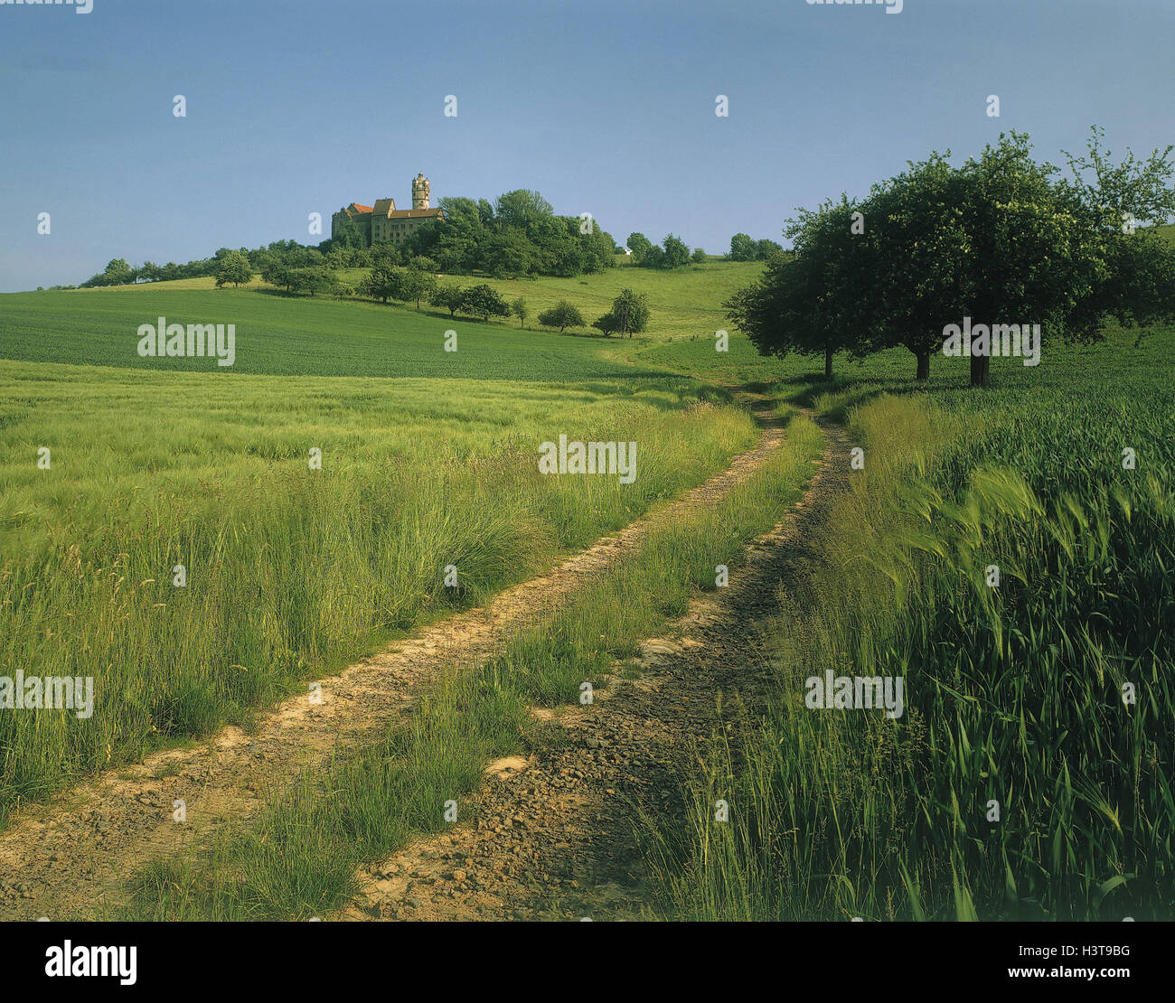 Germany, Hessen, Wetterau, field scenery, castle castle Ronne, Europe ...