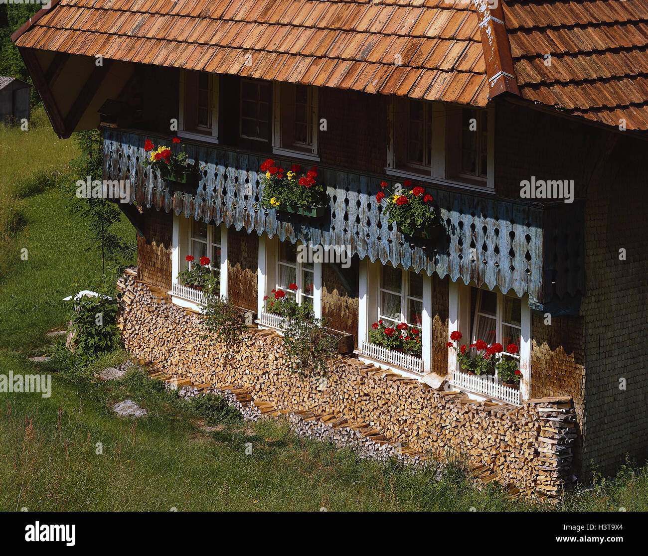 Germany, Black Forest, Wieden, farmhouse, detail, south Black Forest ...