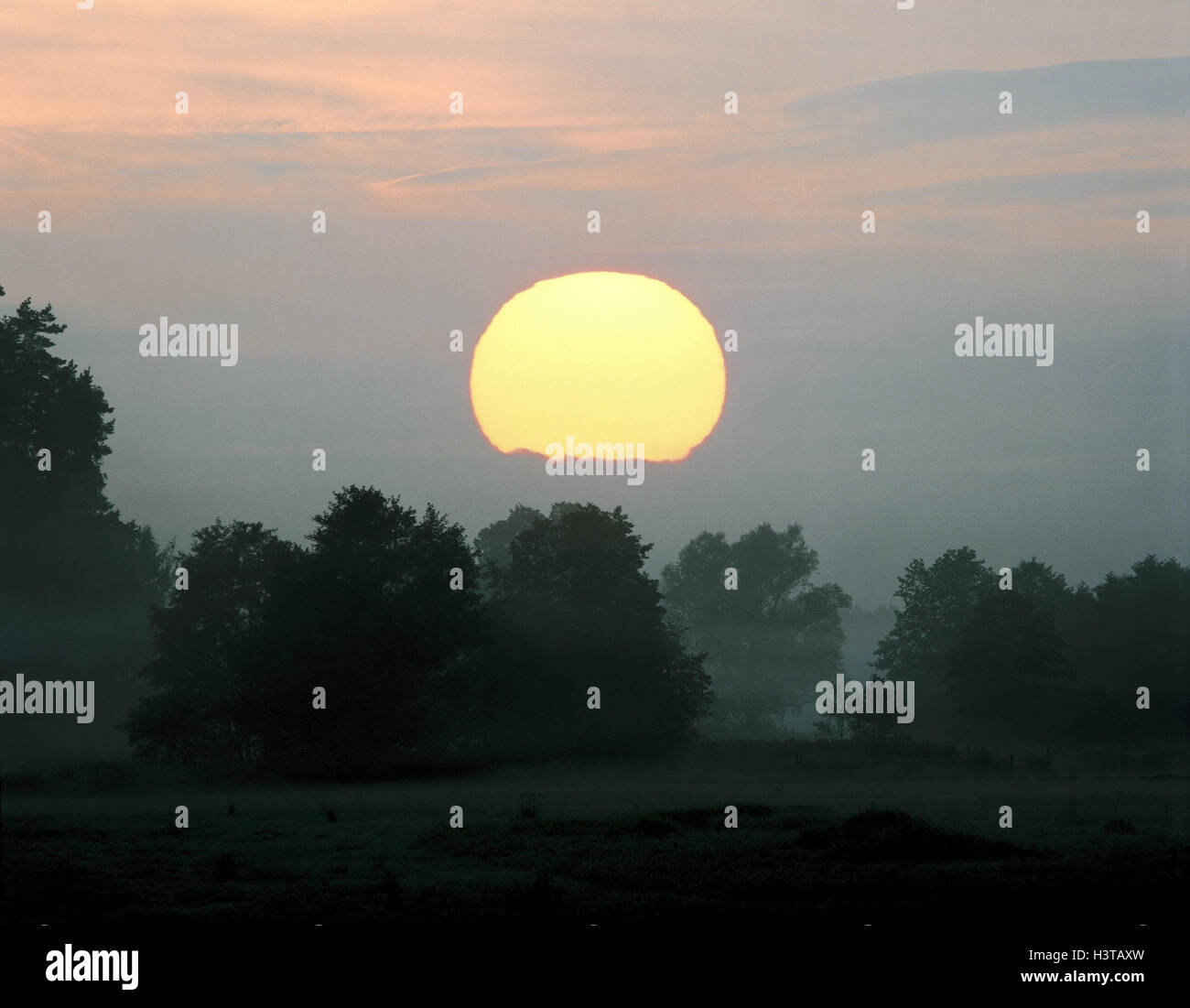 Edge the forest, sunrise, wood, trees, scenery, mood, morning, morning ...