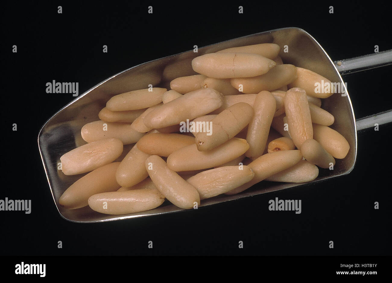 Pine nuts, pine, Pinus pinea, semens, cores, nuts, pine nuts, Pineolen ...