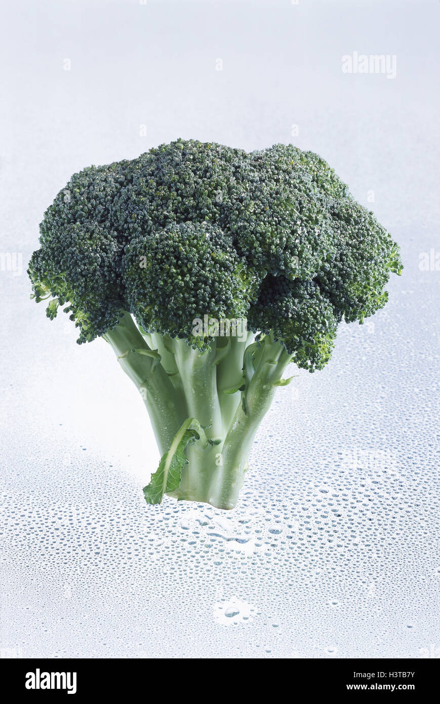 Broccoli, wet broccoli broccoli, cabbage vegetables, vegetable cabbage ...