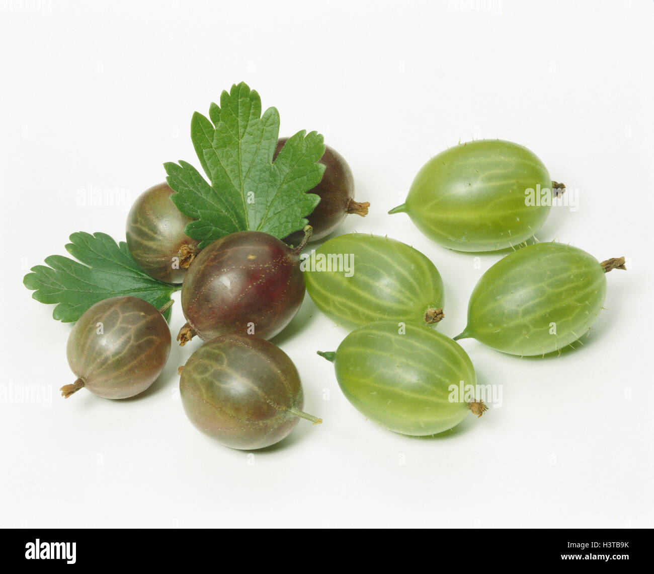 White uva hi-res stock photography and images - Alamy