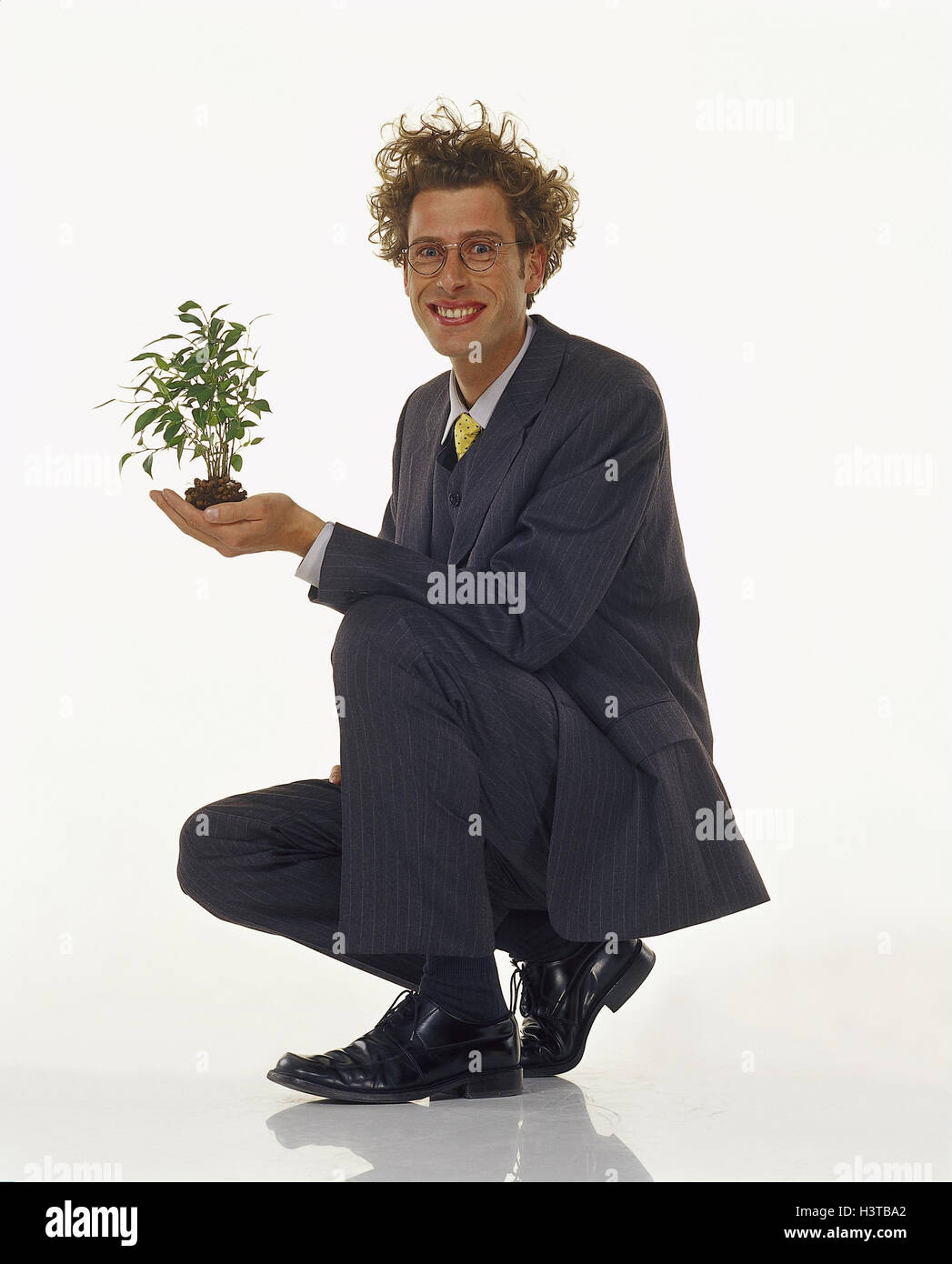 Man, young, glasses, suit, plant, small, palm Men, studio, businessman ...