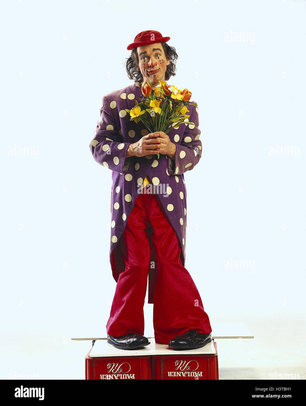 Clown, flowers, facial play, sadly studio, man, lining, costume ...