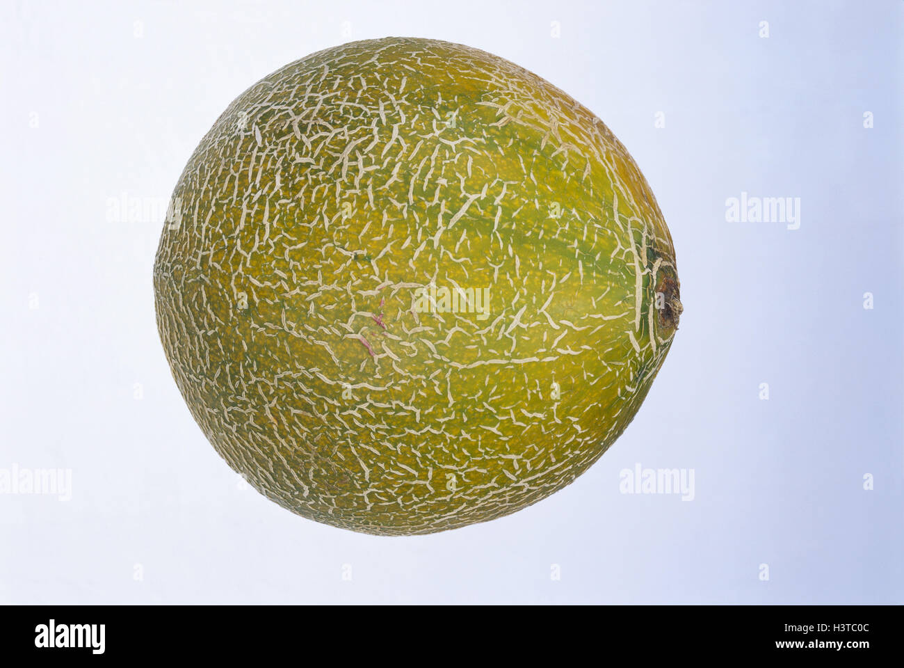 Network melon melon melon, tropical fruit, tropical fruits, nutrition ...