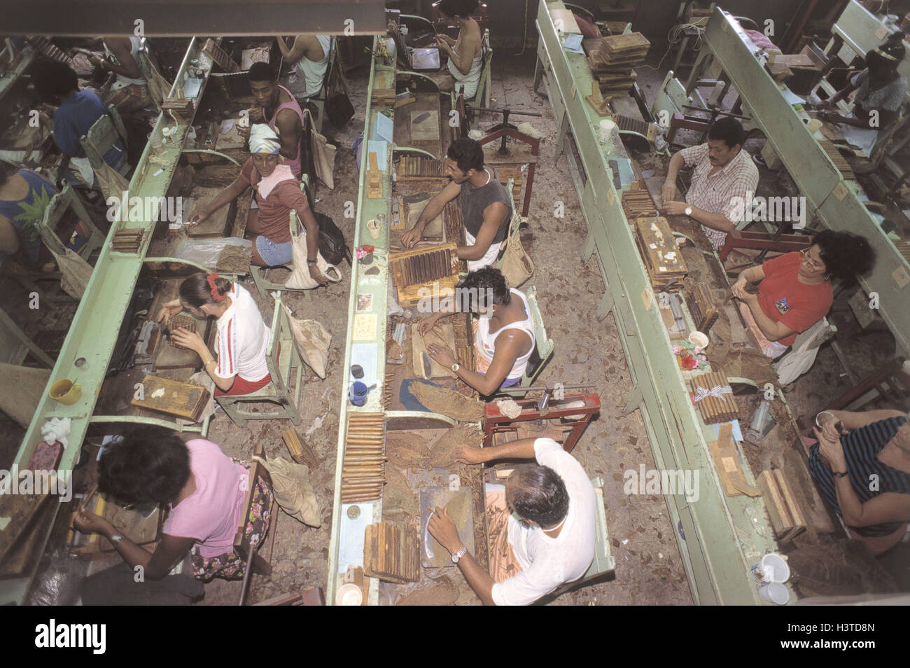 Cuba, Havana, tobacco factory, cigar production, worker, cigars, scroll ...