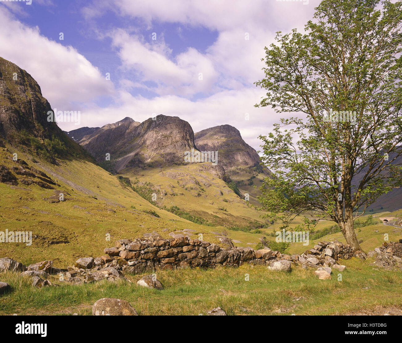 Coe pass hi-res stock photography and images - Alamy