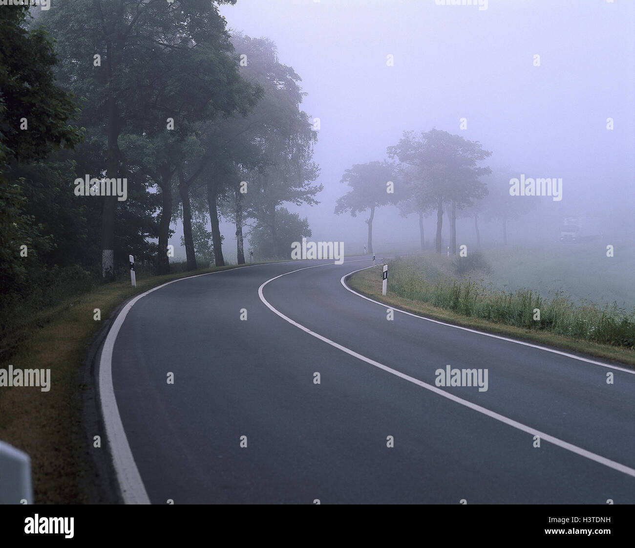 Germany, country road, fog, traffic, route transport, traffic facility ...