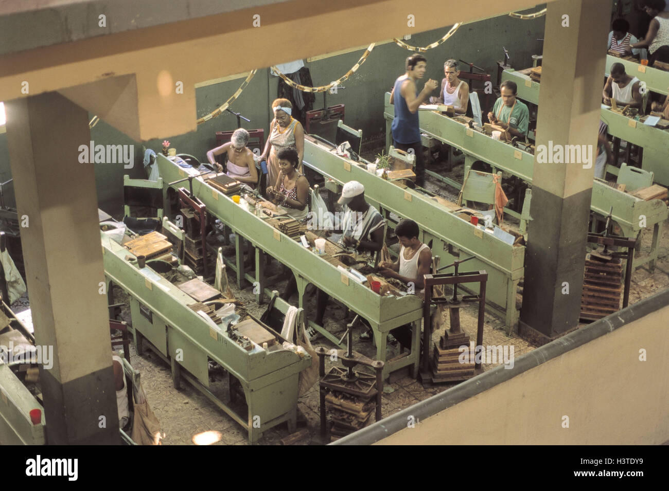 Cuba, Havana, tobacco factory, cigar production, worker, cigars, scroll ...