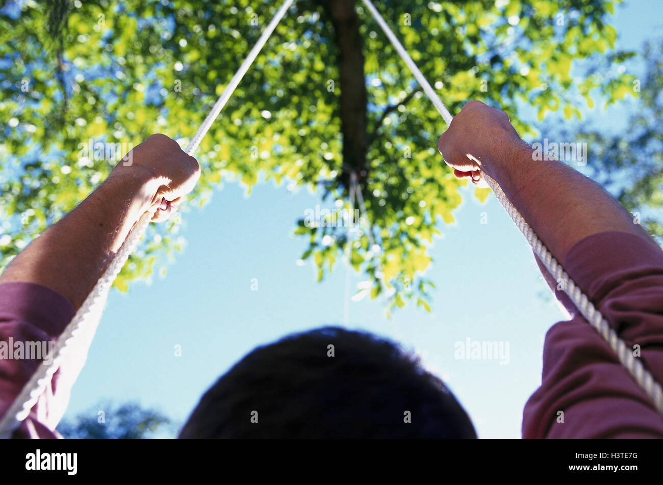 Boy, swing, detail, very close, outside, summers, tree, tree top, ropes ...