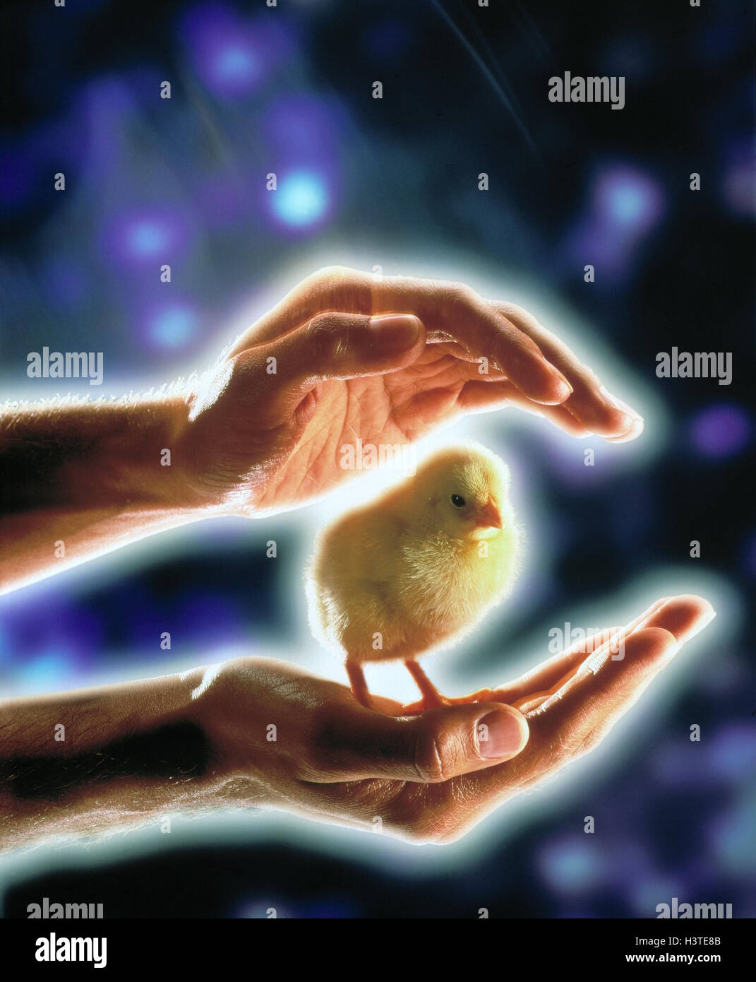 M protection hi-res stock photography and images - Alamy