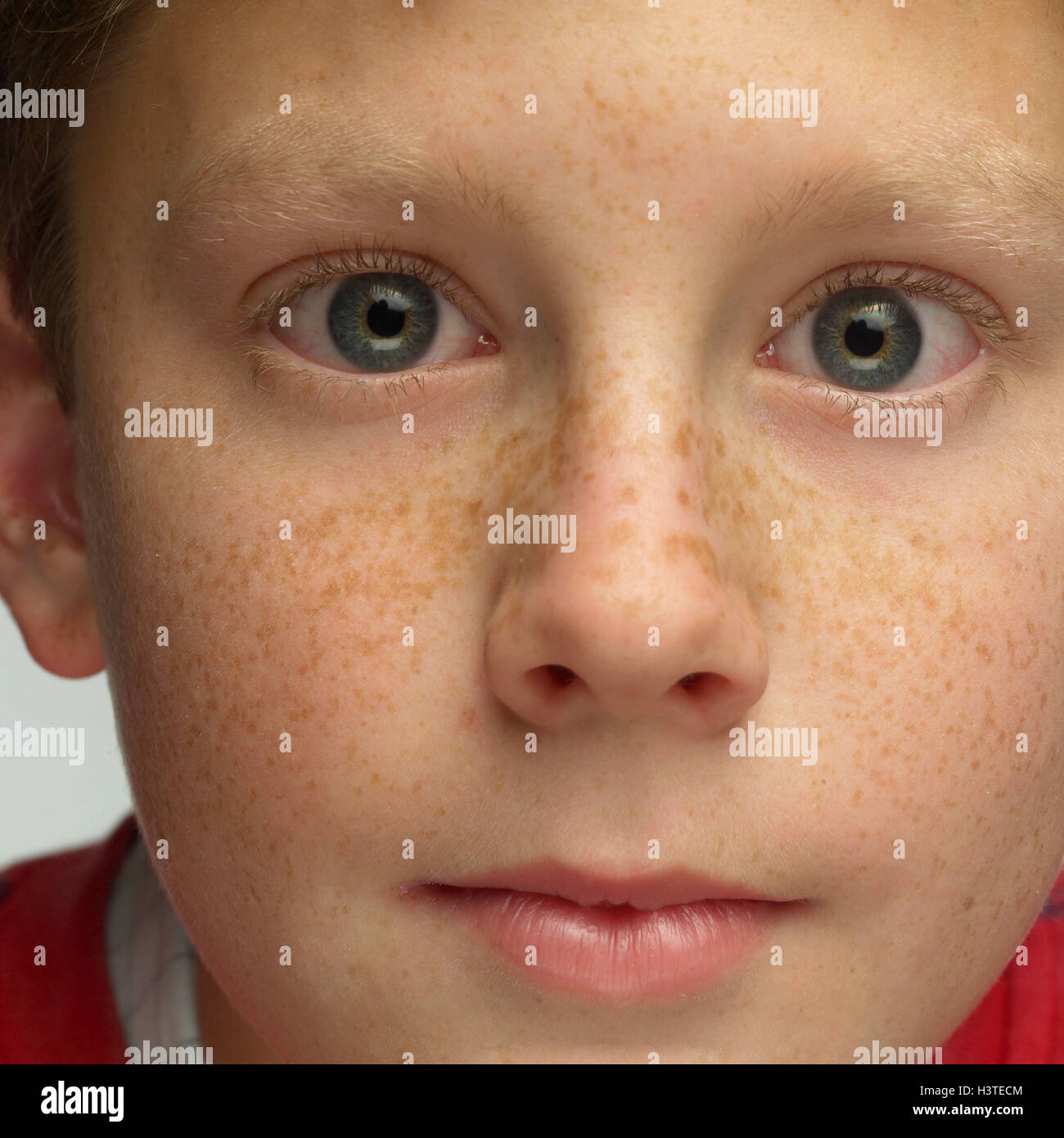 Boy, seriously, freckles, portrait, model released, child, expression ...