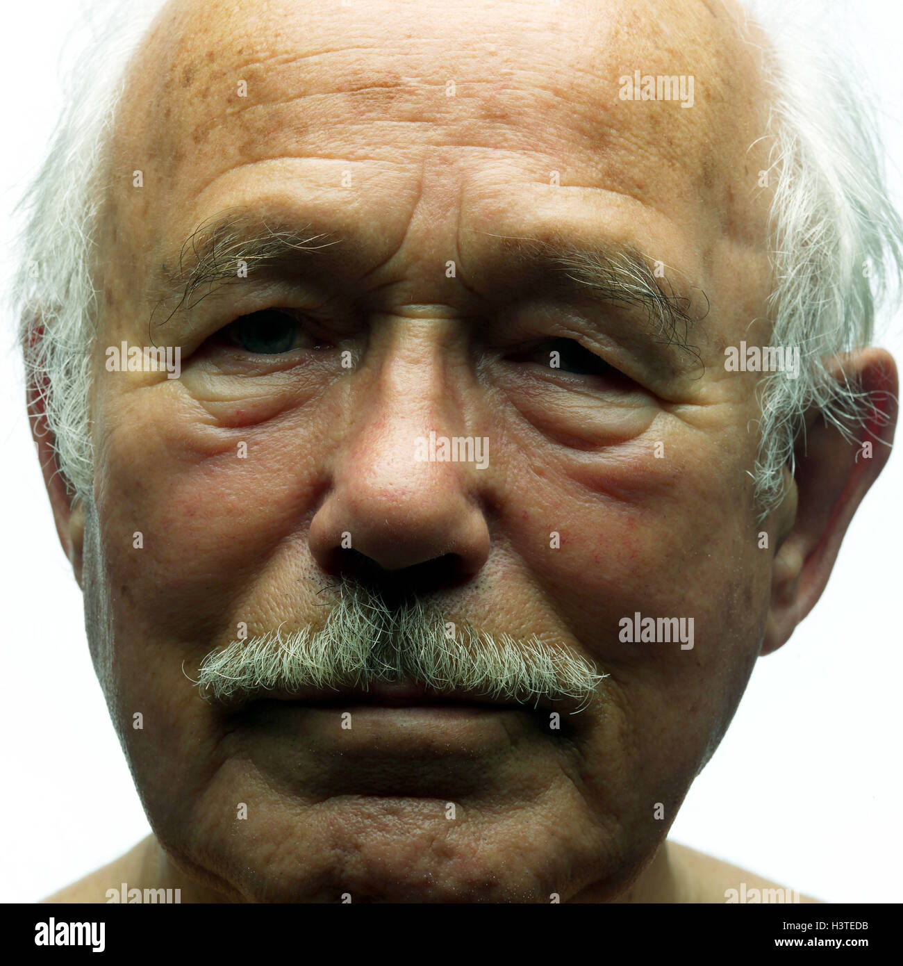 Walrus moustache hi-res stock photography and images - Alamy