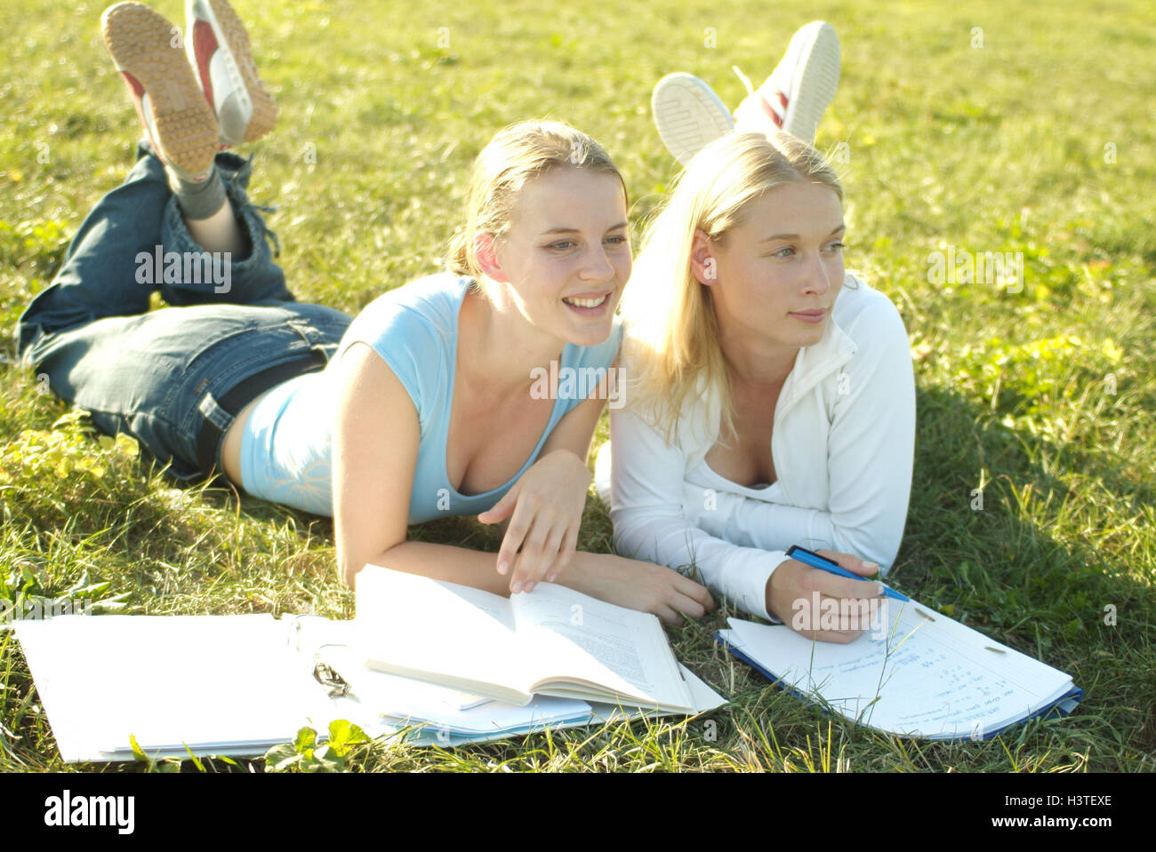 Meadow, friends, lie, learn bases, teenagers, young persons, 20-30 ...