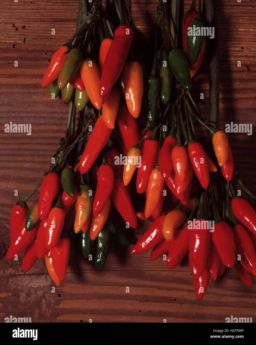 Chilli pods, various spice, hot, paprika, Solanaceae, pods, sheets ...