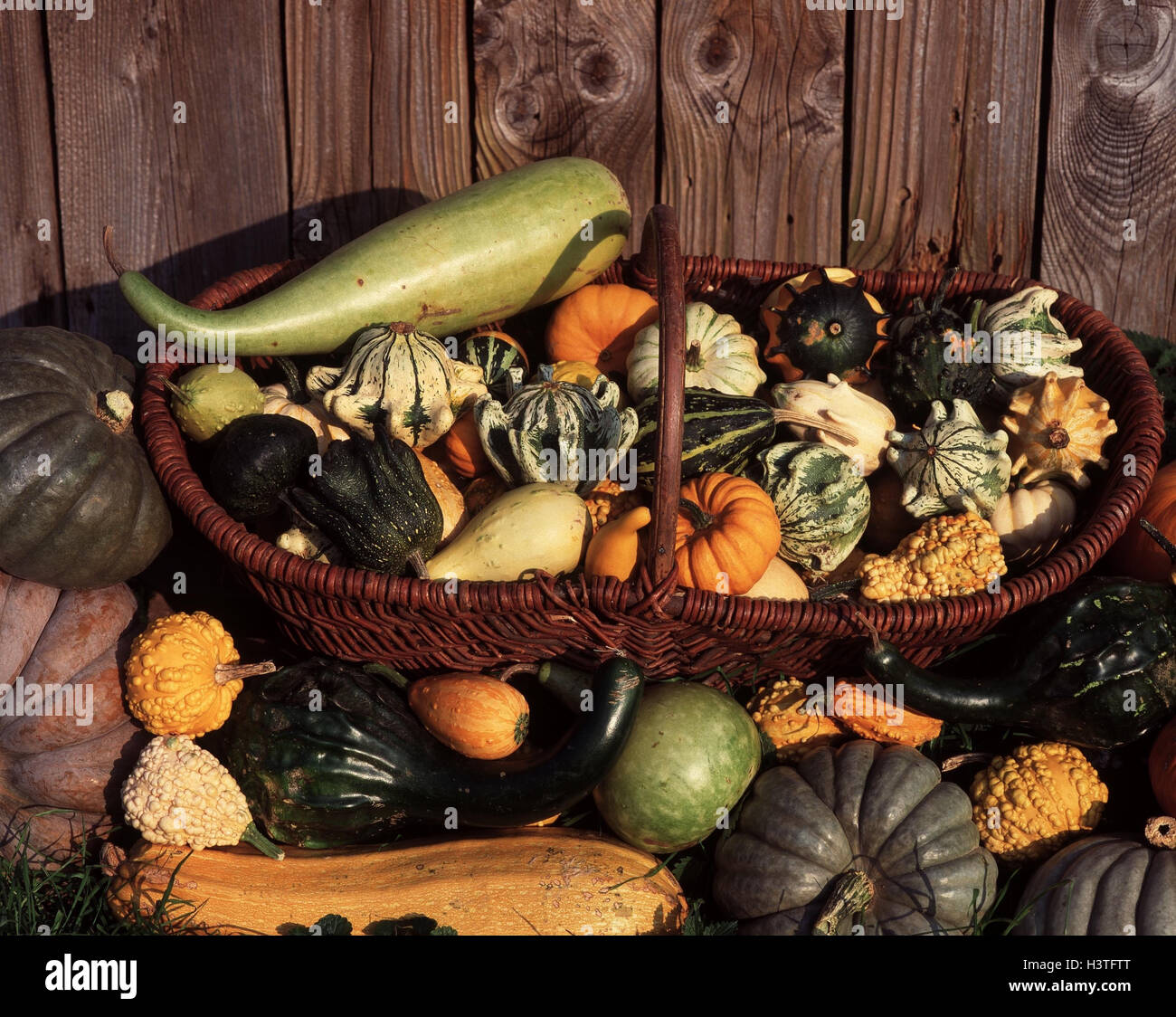 Basket forms hi-res stock photography and images - Alamy