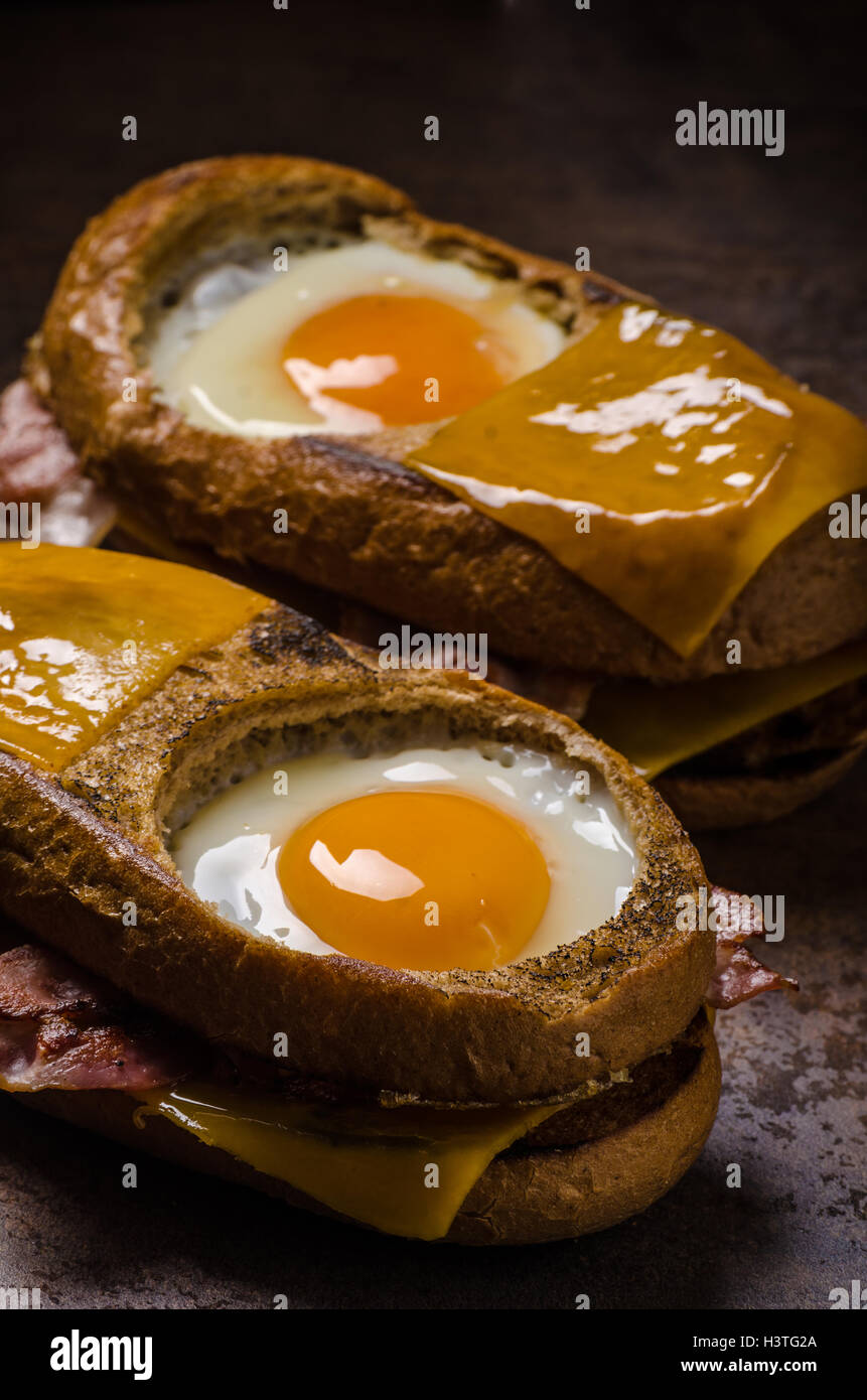 Toasted bread with cheddar cheese and crispy bacon, fried egg inside ...