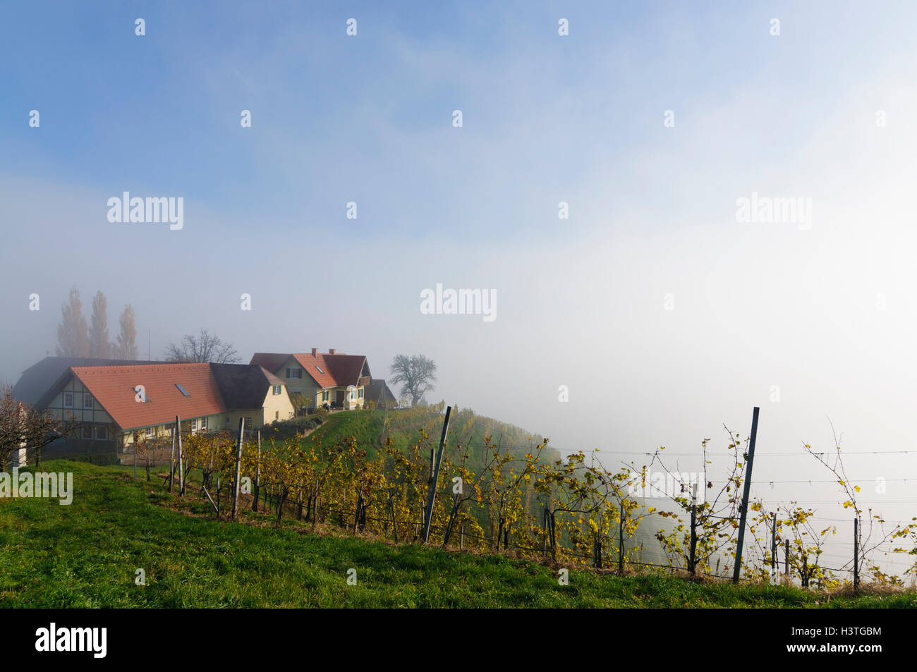 Kitzeck im sausal sudsteirisches weinland hi-res stock photography and ...