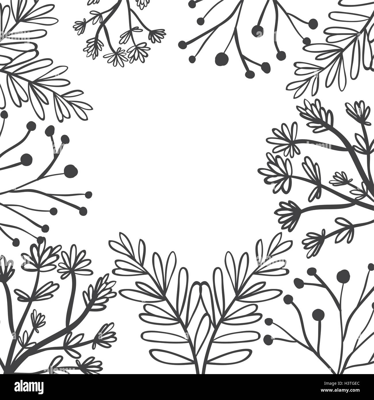 Spring decorative plant variety Stock Vector Images - Alamy