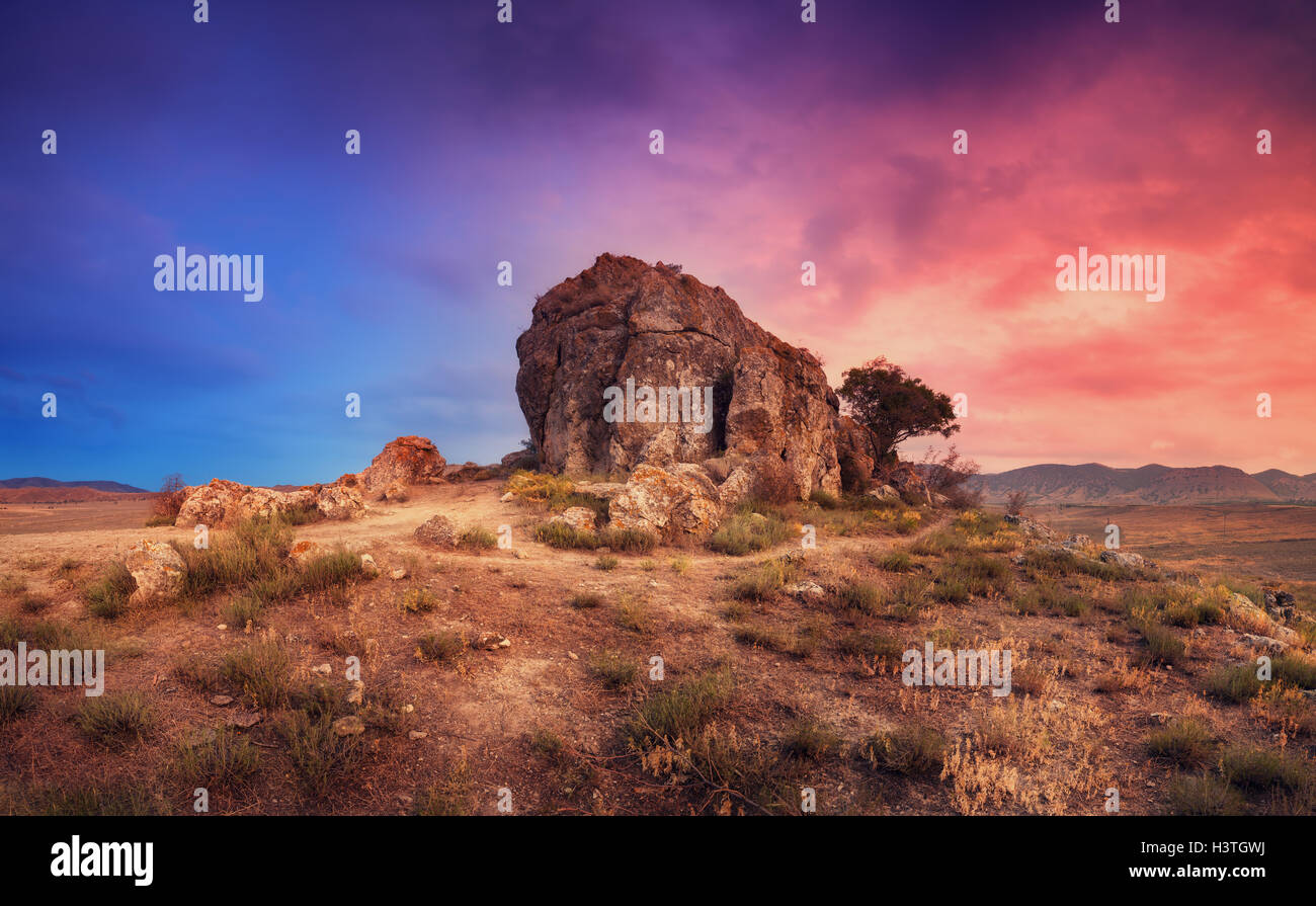 Desert with lonely rock. Tree growing from the mountain in the desert ...