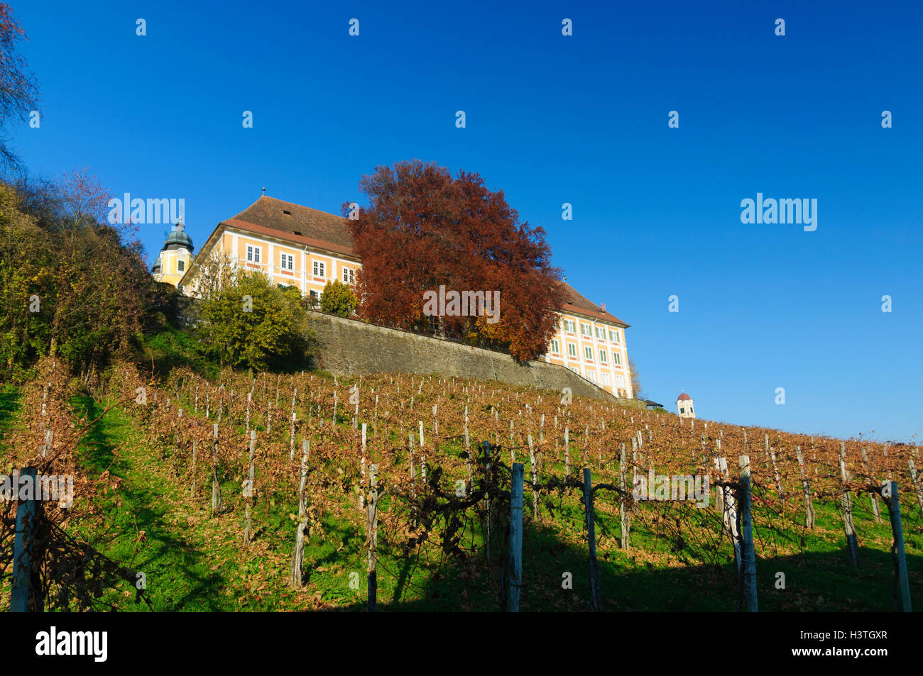 Stainz (Schilcherland): Stainz Castle and Vineyard, Südwest-Steiermark ...