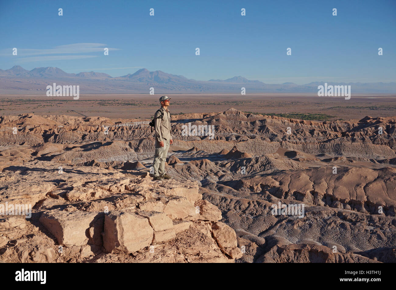 Death in the desert hi-res stock photography and images - Alamy