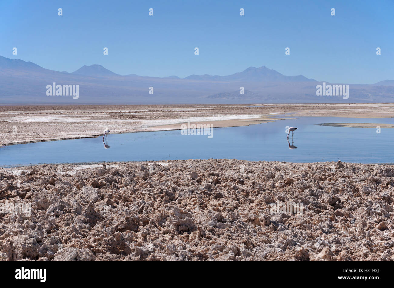 Salar de atacama hi-res stock photography and images - Alamy