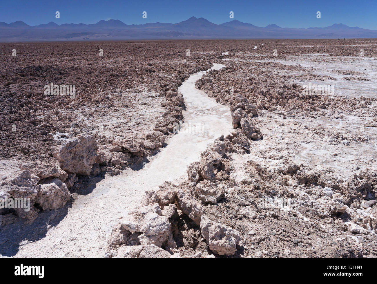 View of the Salar de Atacama, the largest salt flat in Chile Stock ...