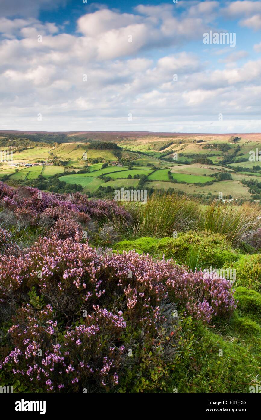 Rosedale chimney, north yorkshire moors hi-res stock photography and ...