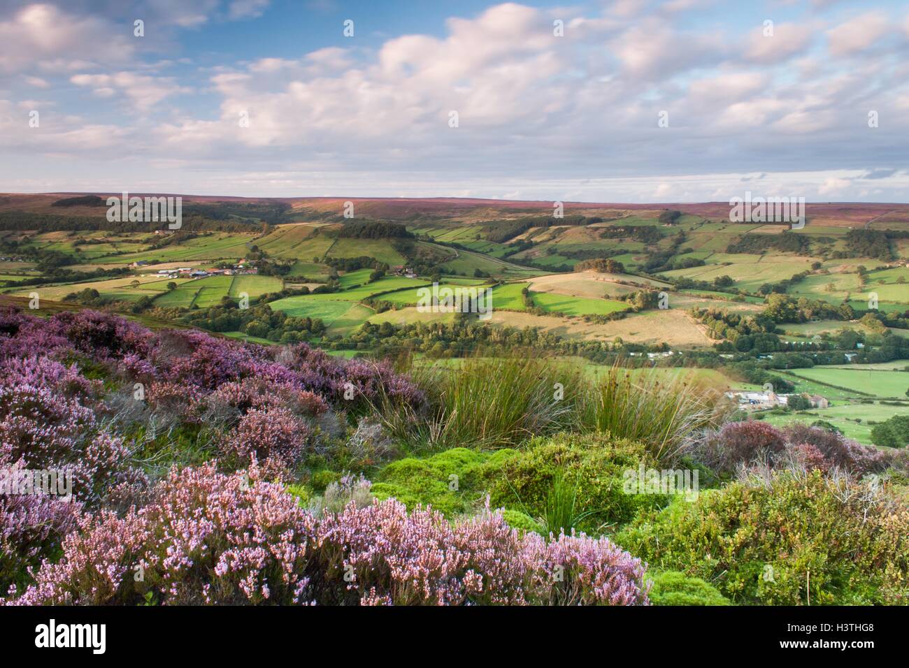 Rosedale High Resolution Stock Photography and Images - Alamy