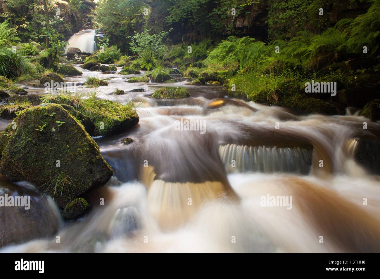 Thomason Foss and cascades on Eller Beck in the North York Moors ...