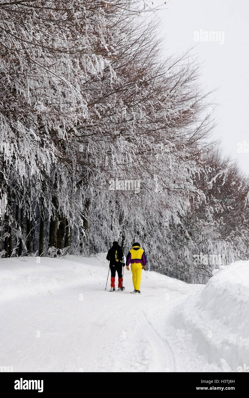 people walking on the snow in december Stock Photo - Alamy