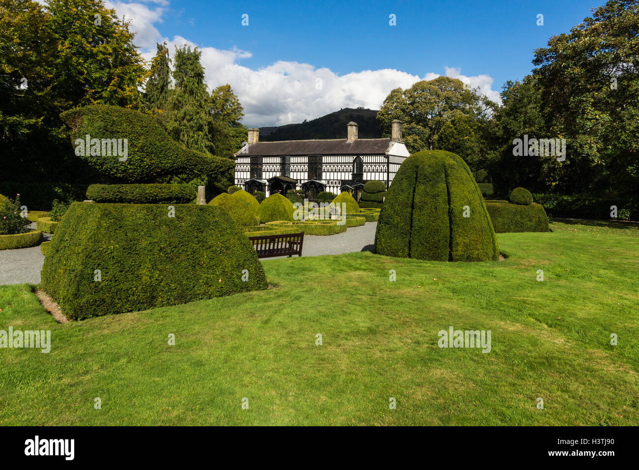 Sarah ponsonby hi-res stock photography and images - Alamy