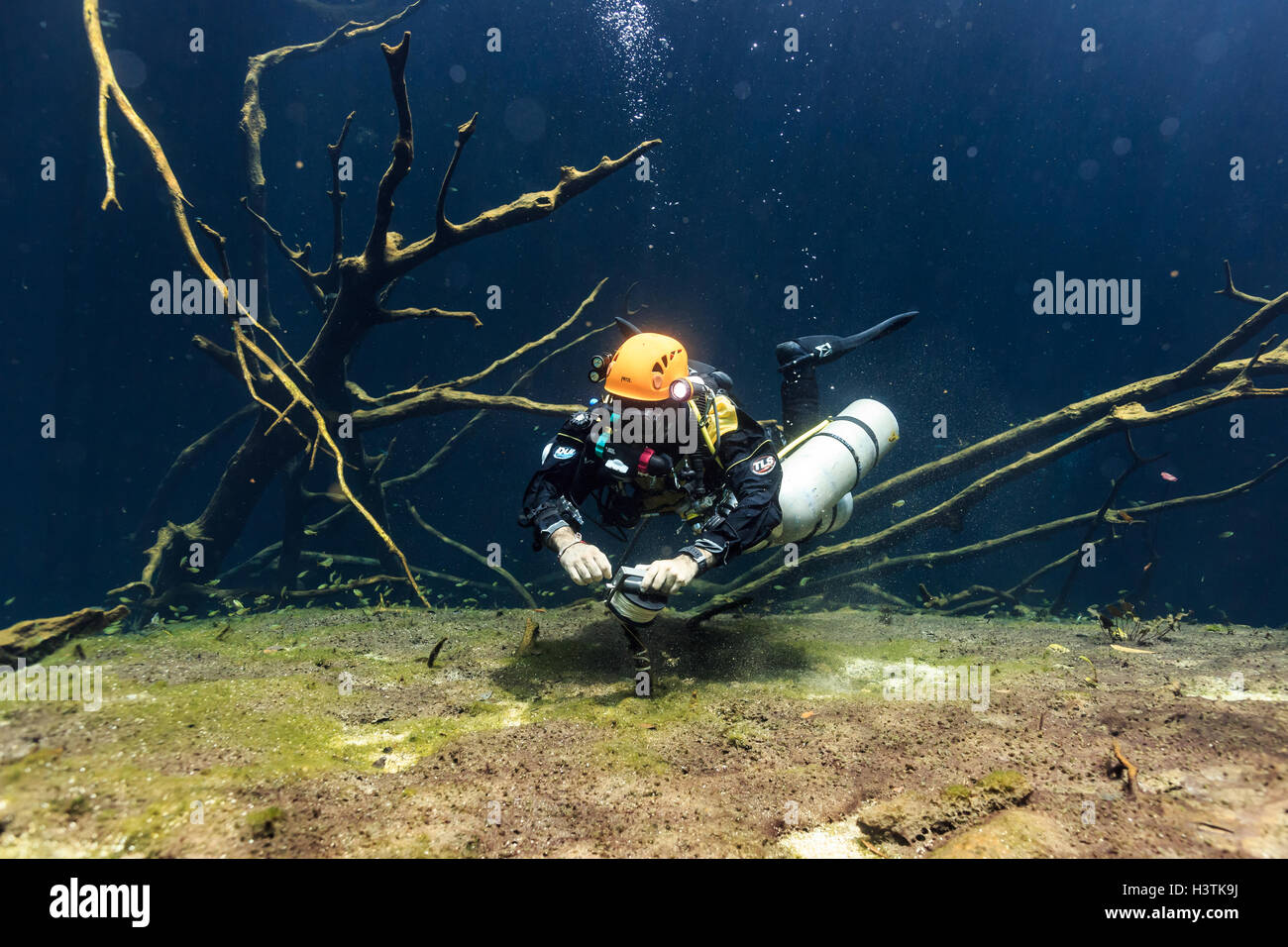 Cave Diver in Cavern Cenote, Yucatan Tulum Mexico Stock Photo - Alamy