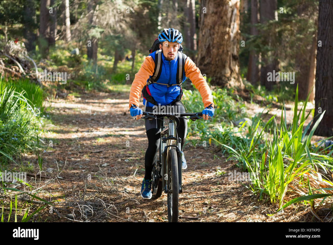 Male mountain biker riding bicycle in the forest Stock Photo - Alamy