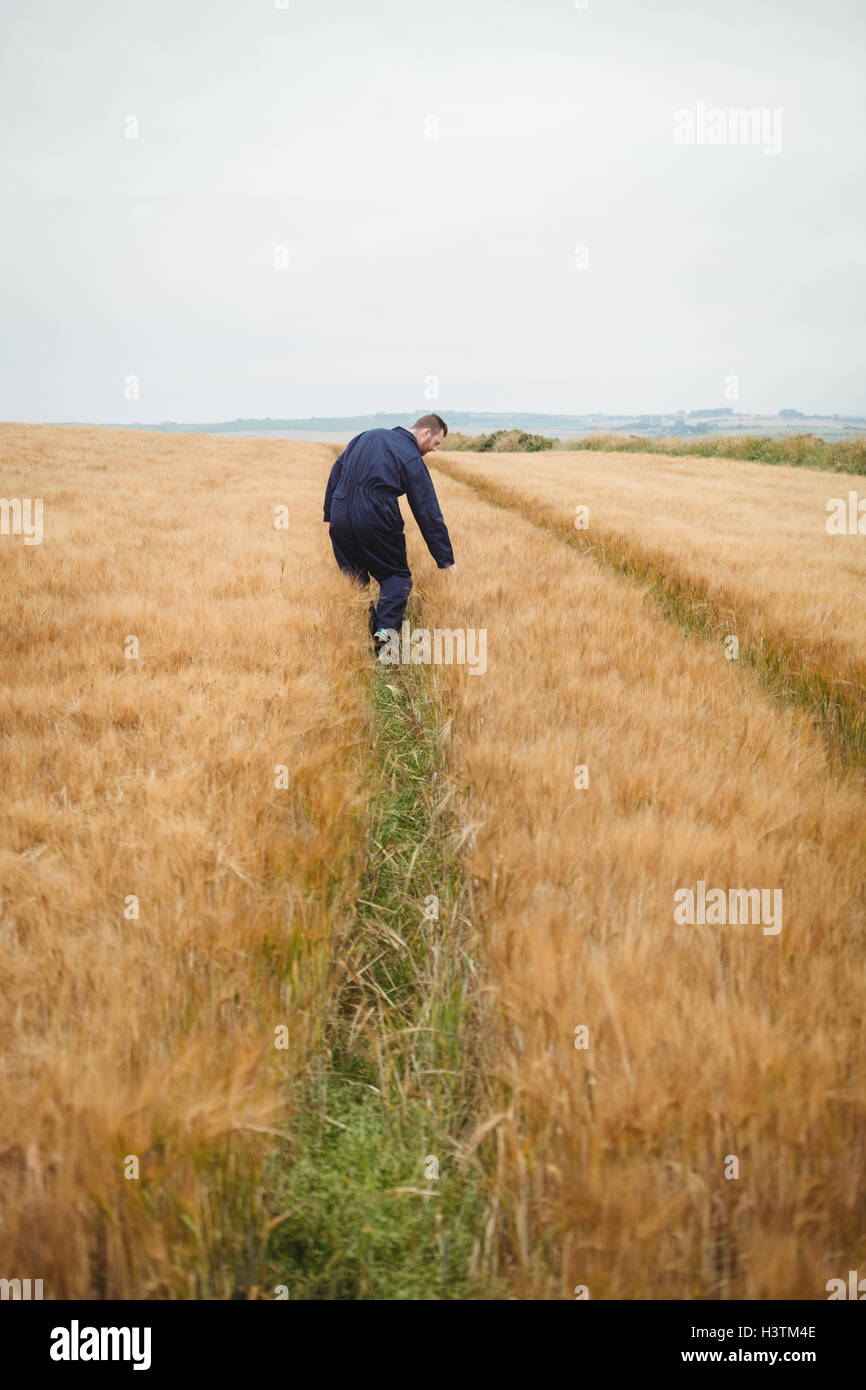 Farmer checking his crops Stock Photo - Alamy