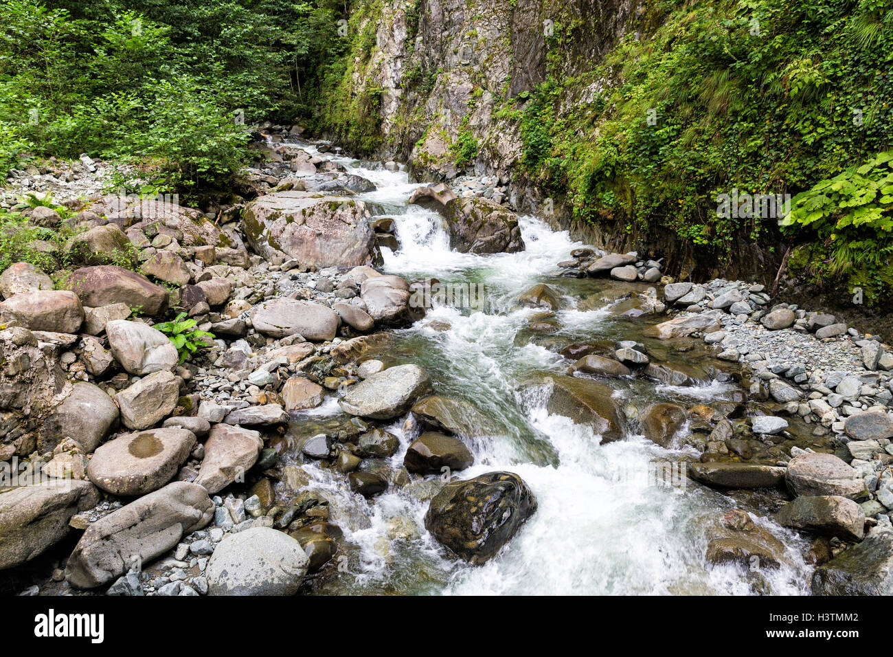 Mountain stream flowing into sea hi-res stock photography and images ...
