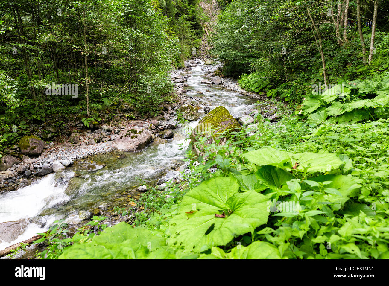 Tar river near Camlihemsin, Rize, Turkey Stock Photo - Alamy