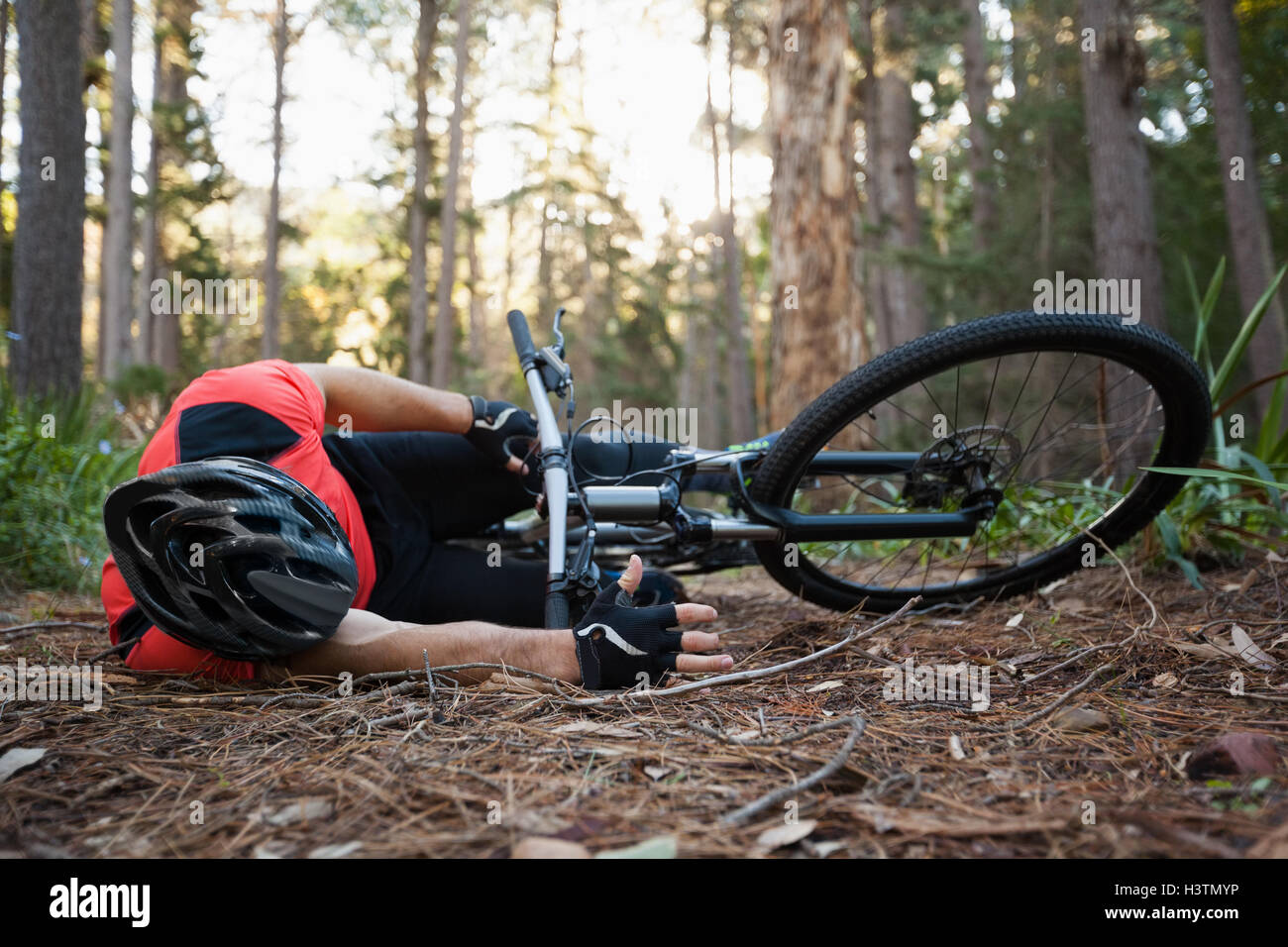 Male mountain biker fallen from his bicycle in the forest Stock Photo ...