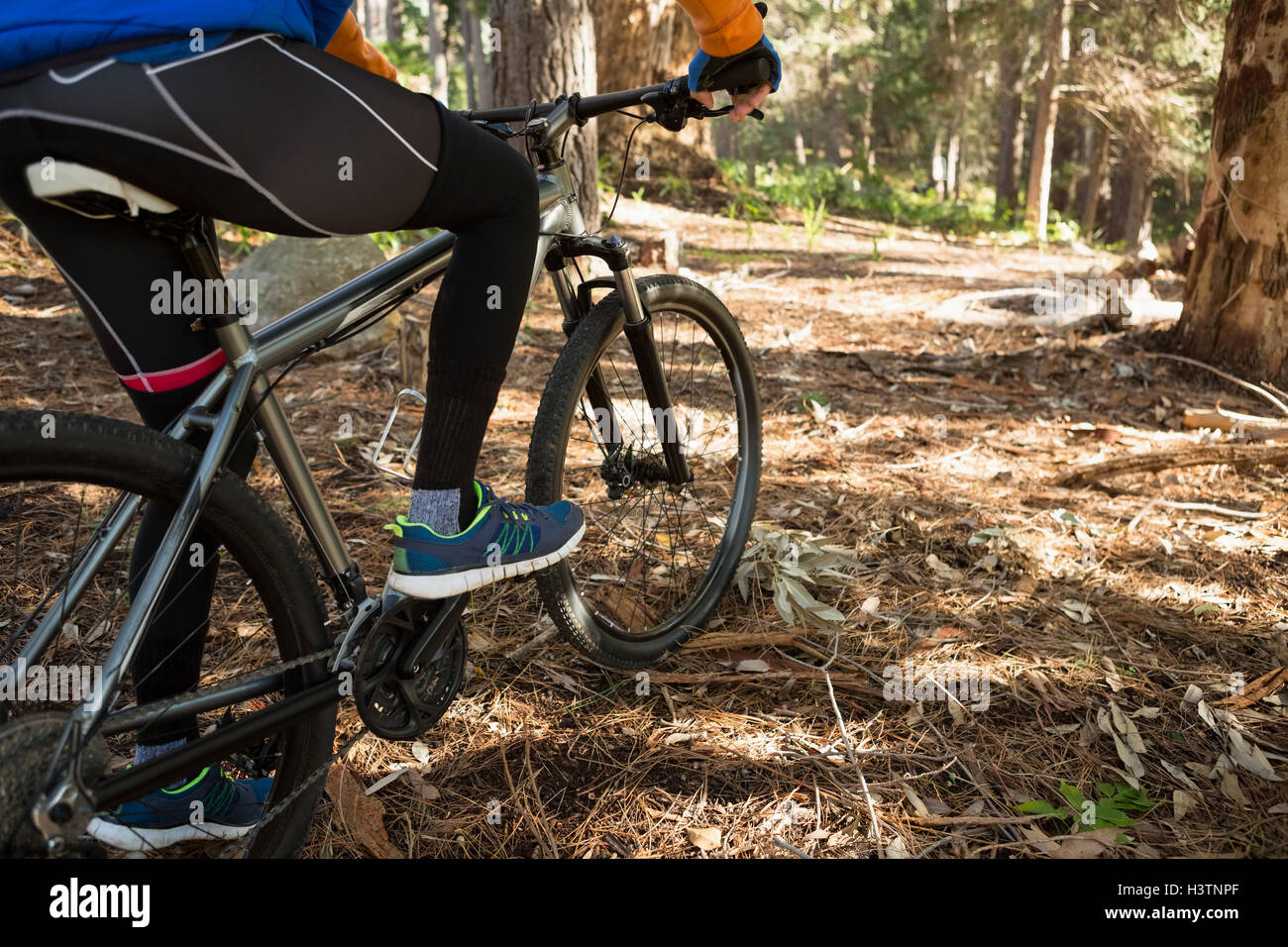 Male mountain biker riding bicycle in the forest Stock Photo - Alamy